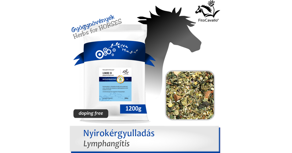 nyirokérgyulladás, nyirokkeringés zavarai, ödéma